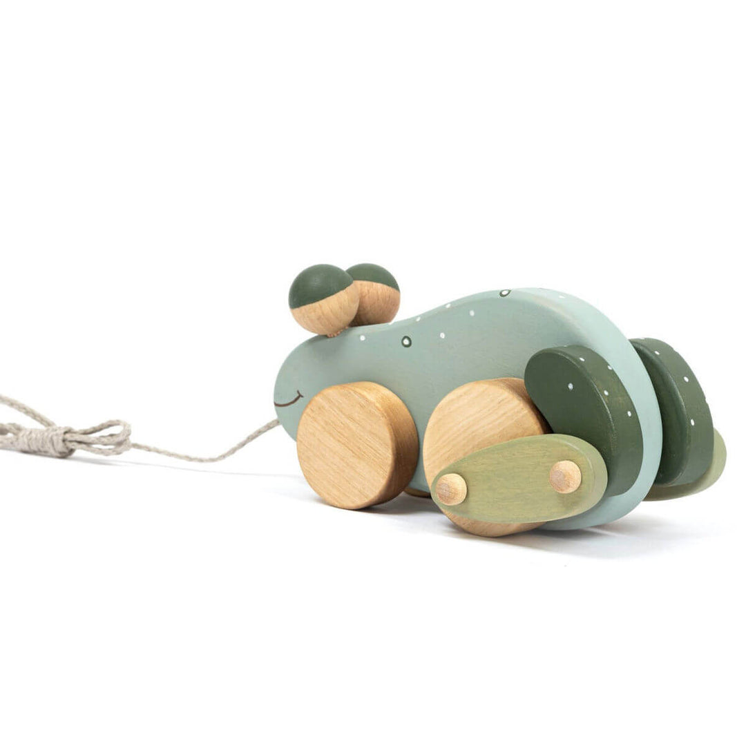 Wooden Pull Along Toy - Frog – Blue Brontide
