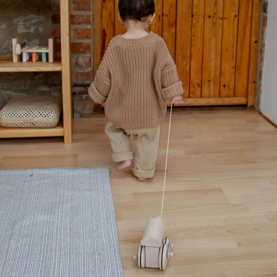 Wooden Pull Along Train Toy – Blue Brontide