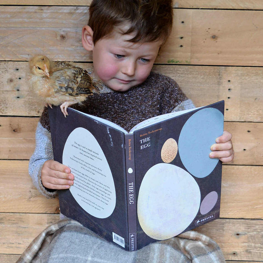 The Egg by Britta Teckentrup – Blue Brontide